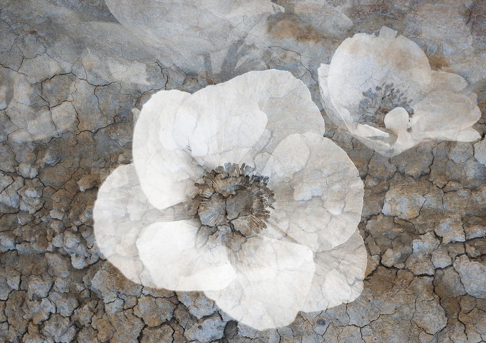 Natalie Knott - Submission | LensCulture