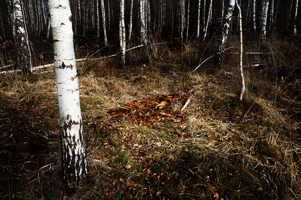 Ursa Majeure [photography duo] - Principiis Obsta | LensCulture