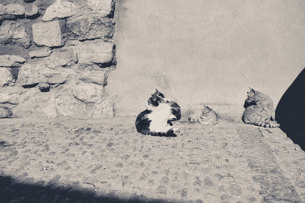 Trisha Gordon - Images from the Village of Morella, Spain | LensCulture