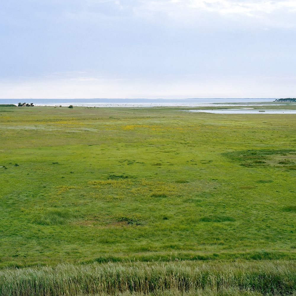 Pascal Liénard - Horizon / Silences | LensCulture