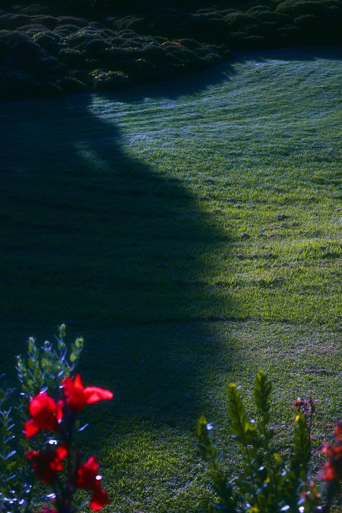 Stephanie O'Connor - All stars stand close in summer air | LensCulture