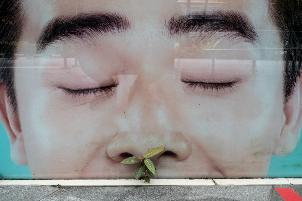 Zhan Shan - Untitled | LensCulture