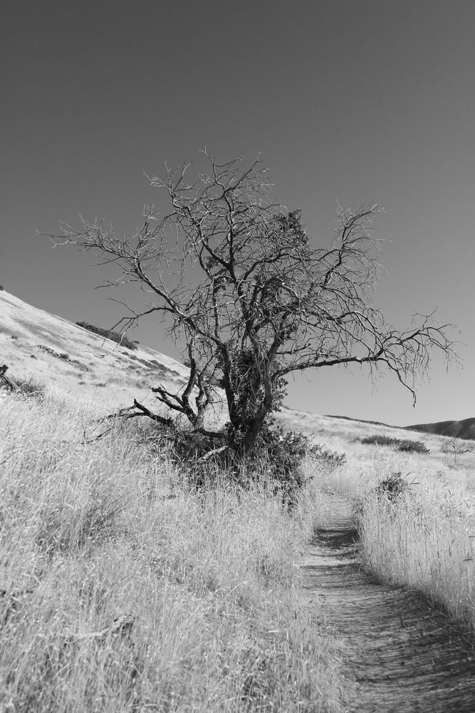 Devin Stevens - Devin Black and White | LensCulture