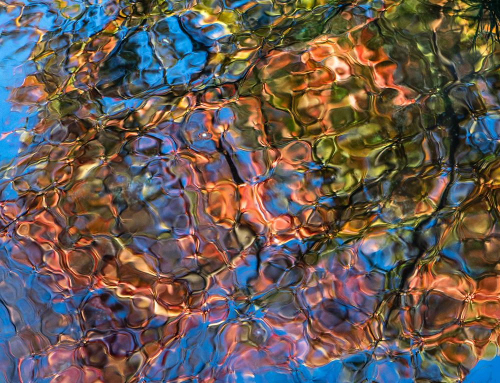 Jeff Green - Nature's Kinetic Energy | LensCulture