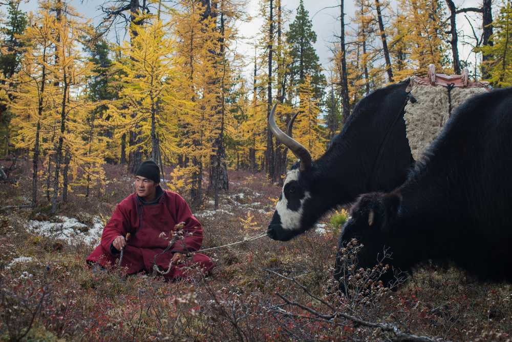 Madoka Ikegami - The Tsaatan People | LensCulture