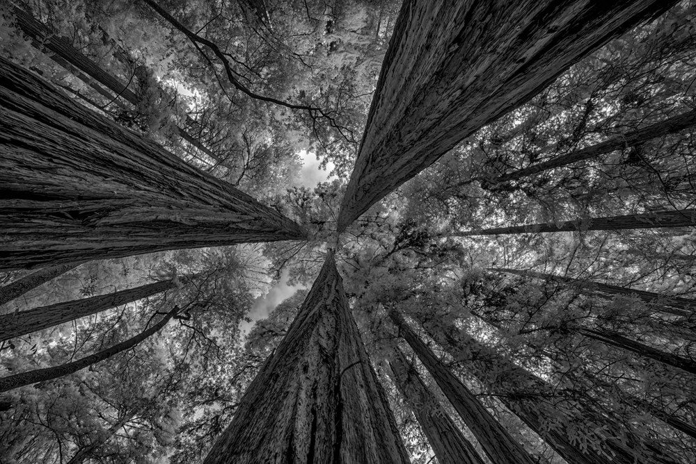 Keith Bartholomew - Untitled | LensCulture