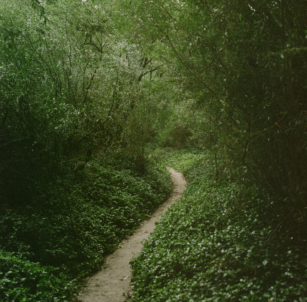 Evan Fowler - Cruising the Bush | LensCulture