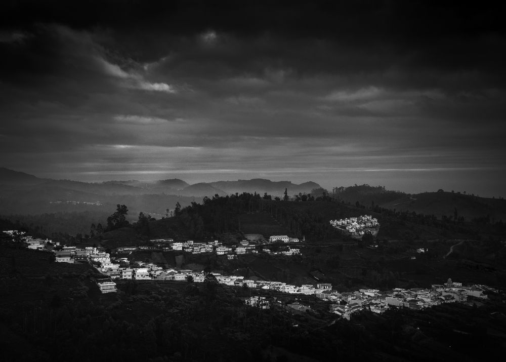 Sajeesh Radhakrishnan - Nature without colors | LensCulture