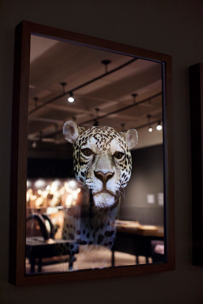 Christina Seely - Next of Kin | LensCulture