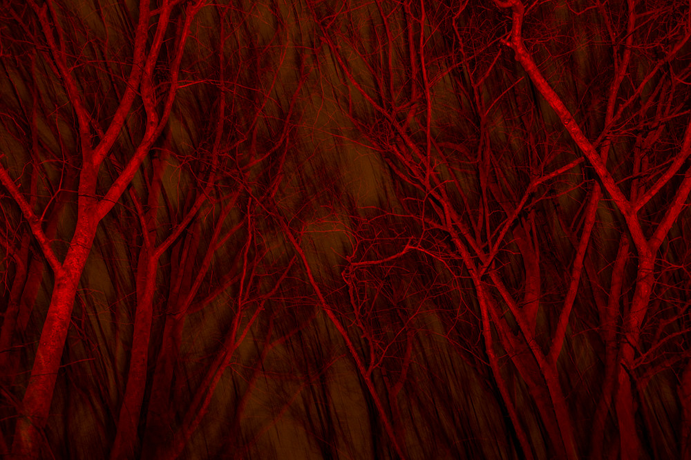 Anna Cassidy - Every Tomorrow | LensCulture