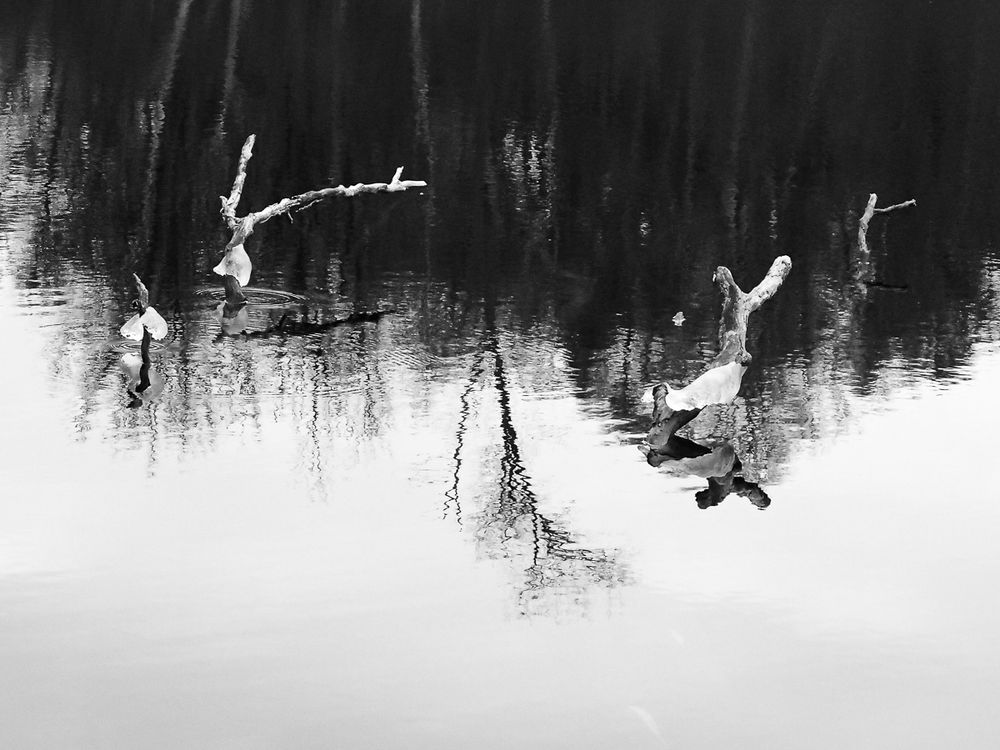 Rixa Lohmann - Grauzeit // A grey world | LensCulture