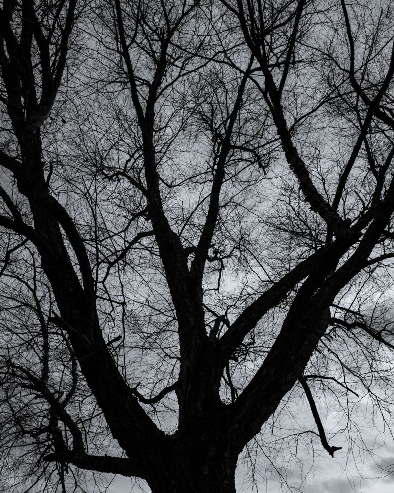 Neil Williams - Essential Order | LensCulture