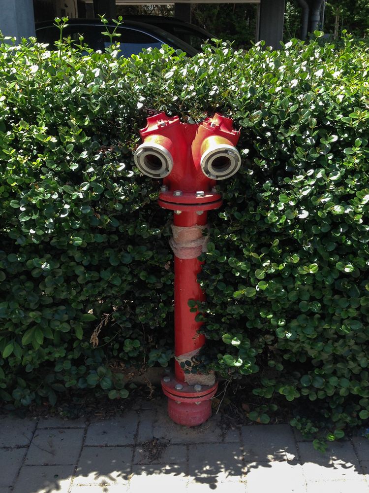 David Goldstein - Urban nature | LensCulture