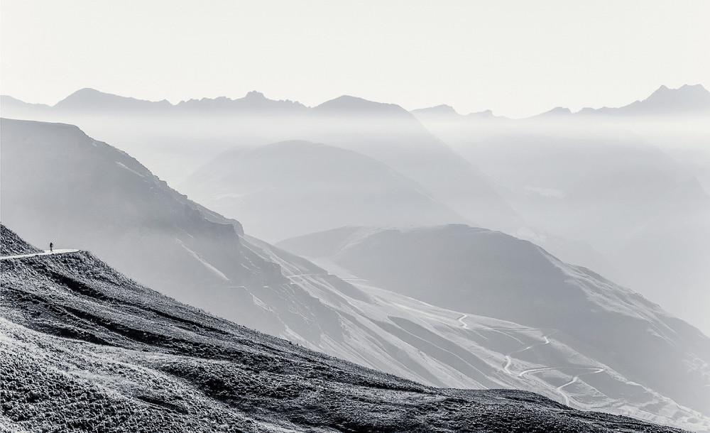 david tedman - Call of the Wild | LensCulture