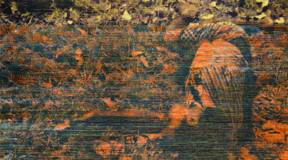 Garapa Collective - Postcards to Charles Lynch | LensCulture