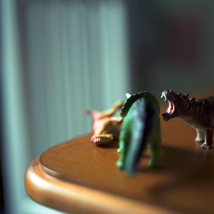 Eliza Lamb - Naptime: The World at Two | LensCulture