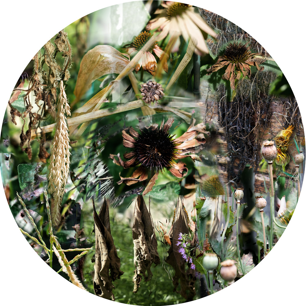 Jessica Watson - Photo Synthesis | LensCulture