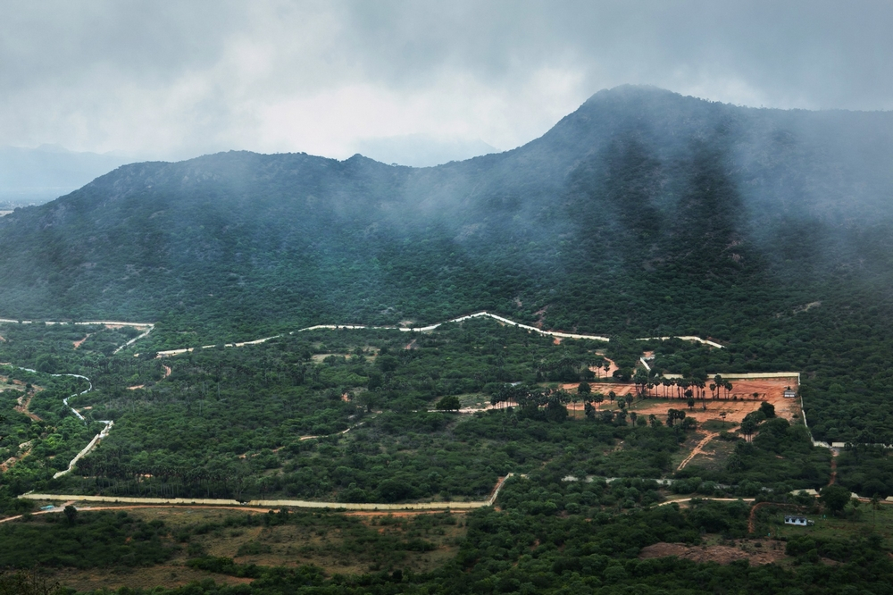 Senthil Kumaran Rajendran - Human & Elephant Conflict | LensCulture