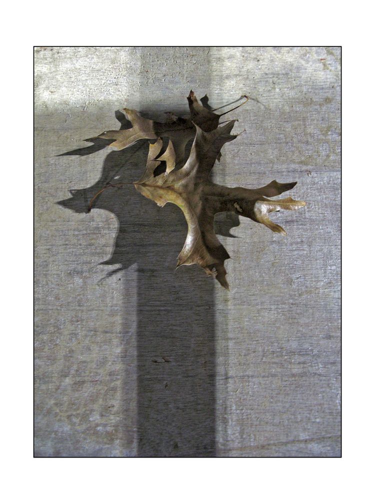 Joseph Neumayer - Series: "The Purpose of Shadows"Submission | LensCulture