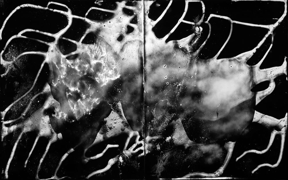 Michael Flomen - Michael Flomen’s All-Natural Photograms | LensCulture