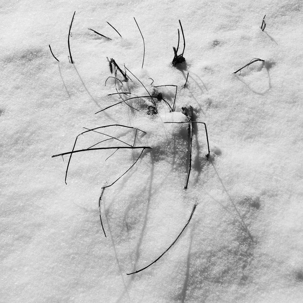 Josh Humble - The Midwest Landscape | LensCulture