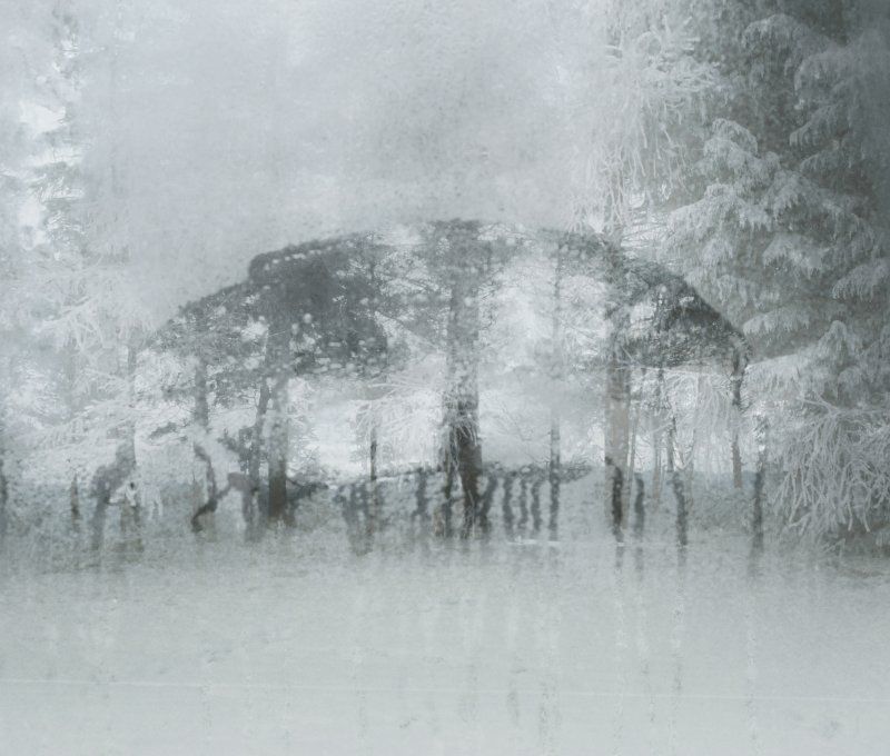 A Fading Landscape - LensCulture