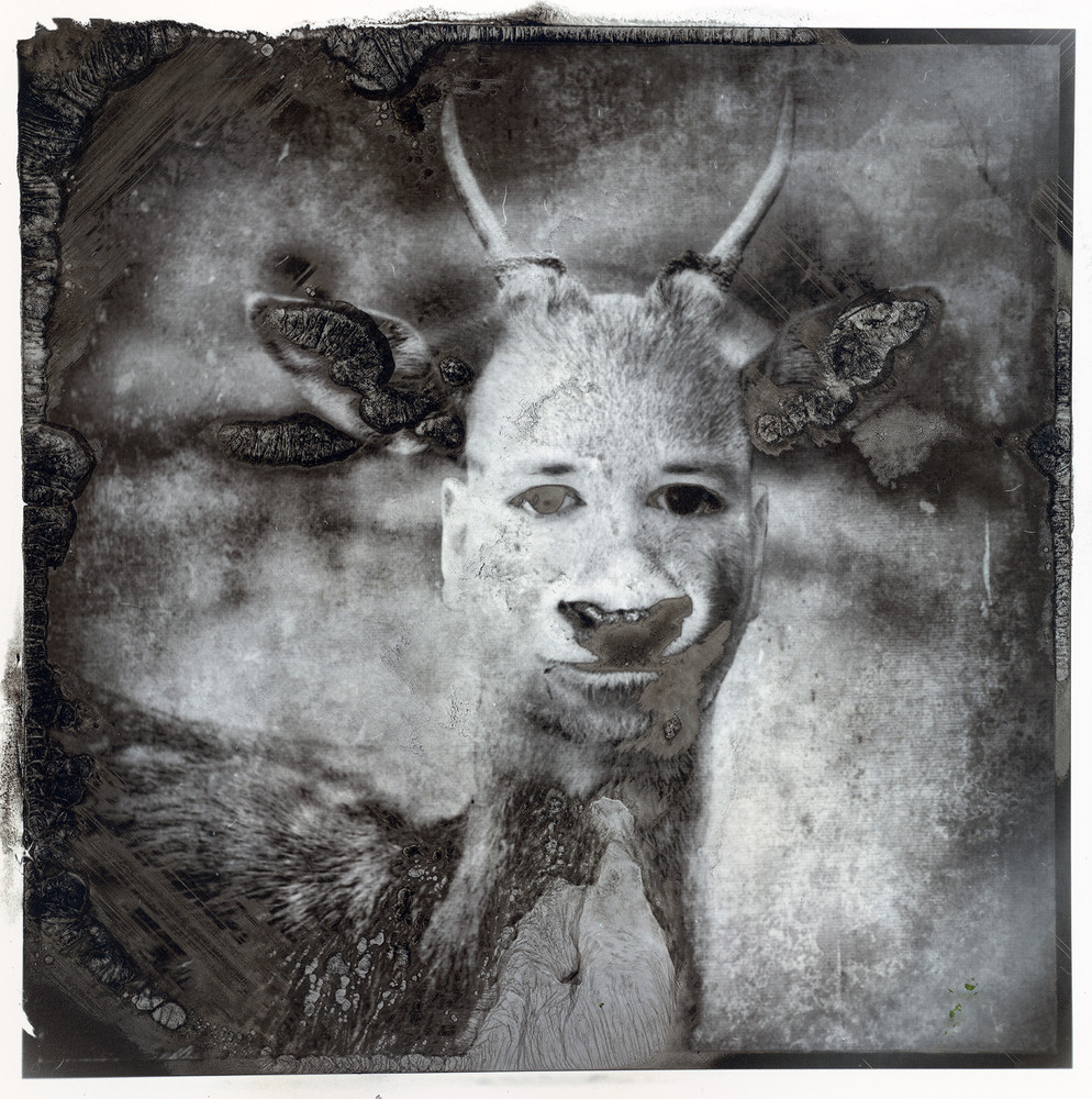 Greg Banks - The Allegorist’s Visions of Alchemy and Delusions ...