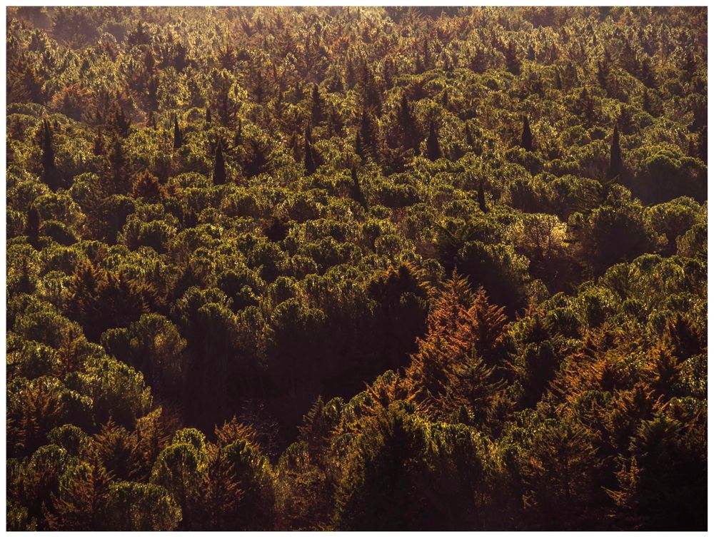 Costangelo Pacilio - IRPINIA | LensCulture
