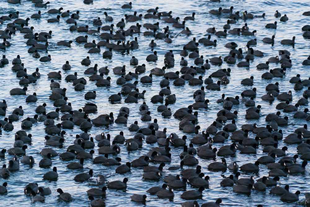 Will Green - Mass Movement | LensCulture
