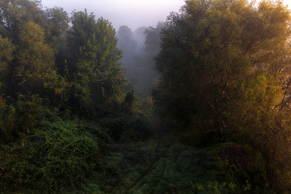 Dimitris Kleanthis - Forensics | LensCulture