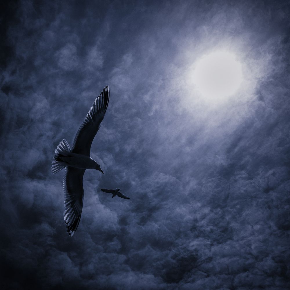 David Biddlecombe - The English seaside | LensCulture