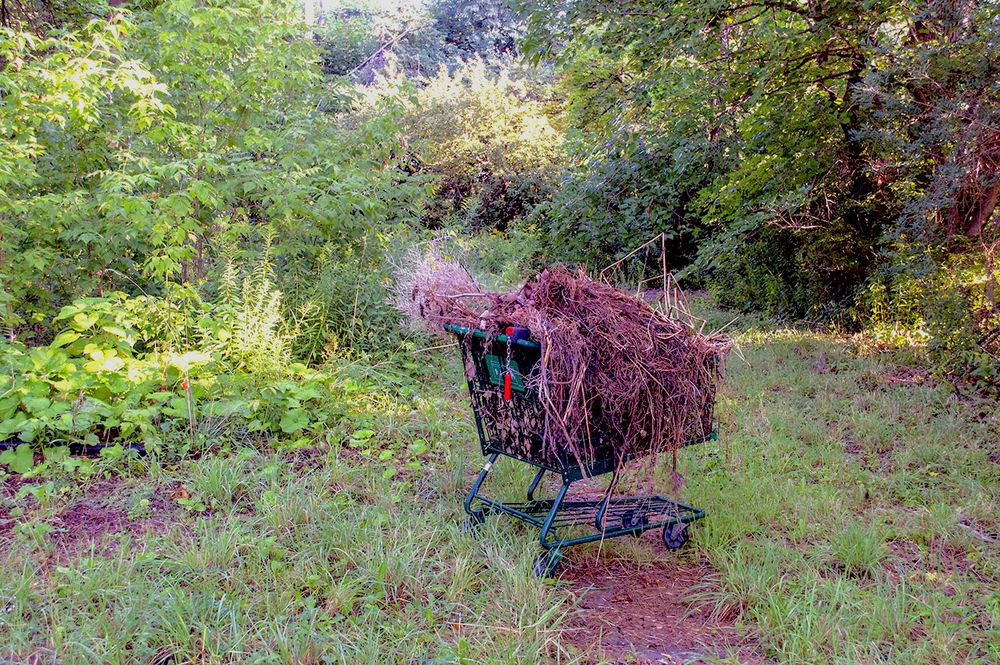 Robert Anderson - Tell Tale Signs | LensCulture