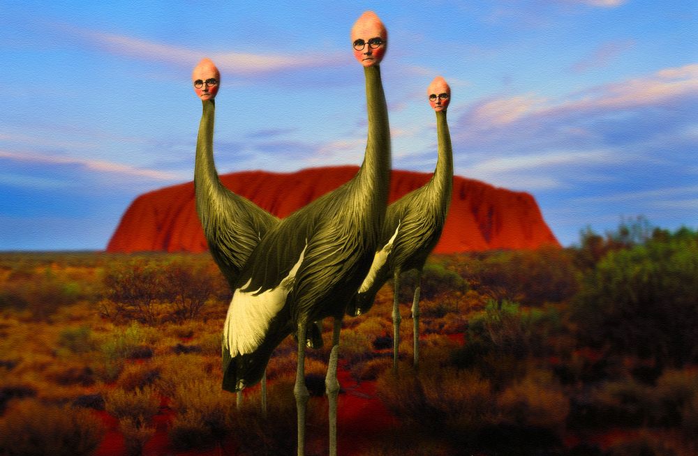 Chet Morrison - portfolio | LensCulture