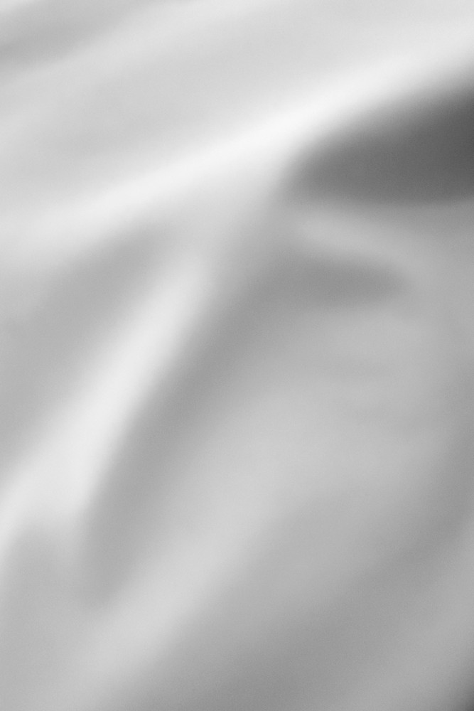 Diane Collins - Reveal … to make known through divine inspiration ...