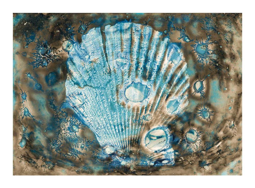 Victoria Stokes - acidopHobe | LensCulture