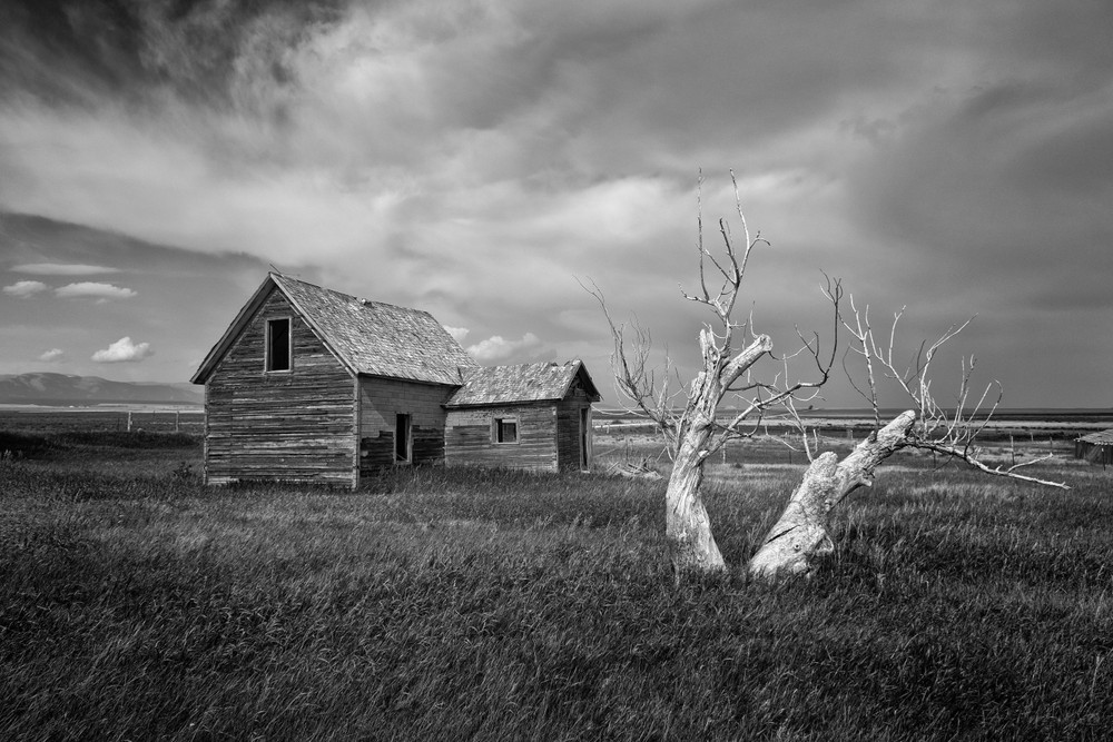 Scott Tice - Untitled | LensCulture