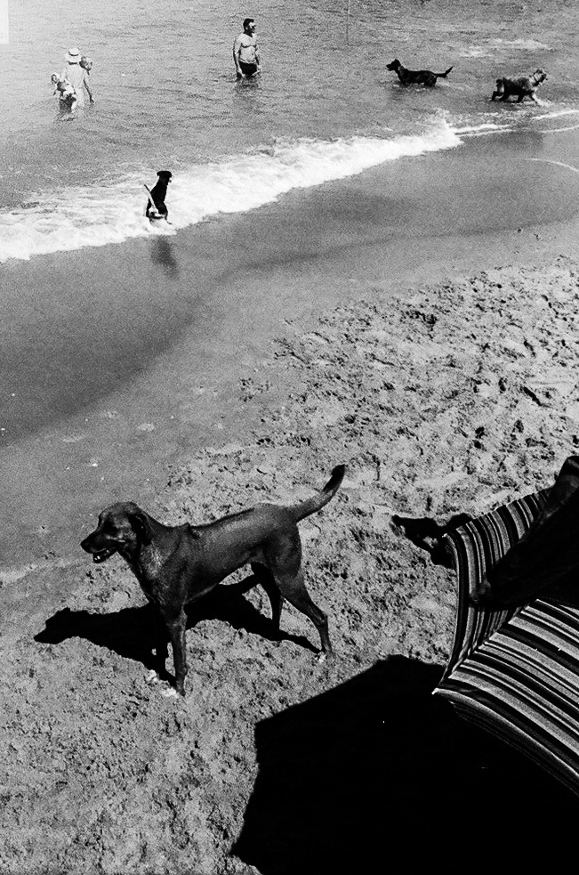 David Goldstein - Tel Aviv, Everyday Life | LensCulture