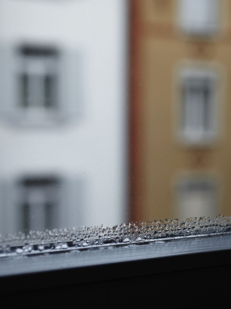 Lucas Ziegler - Fragrance of Absence | LensCulture