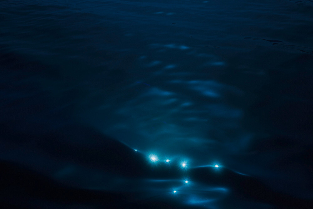 Stephanie O'Connor - A thumping in the distance | LensCulture