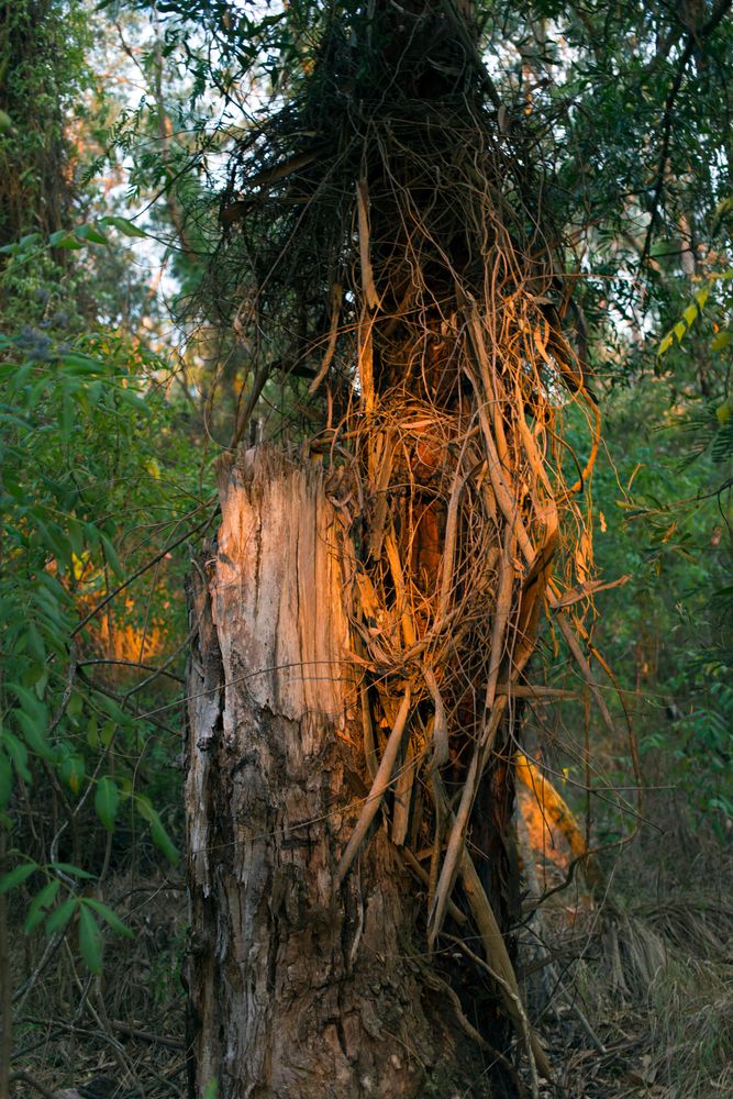 Timothy Hillier - North of the South | LensCulture