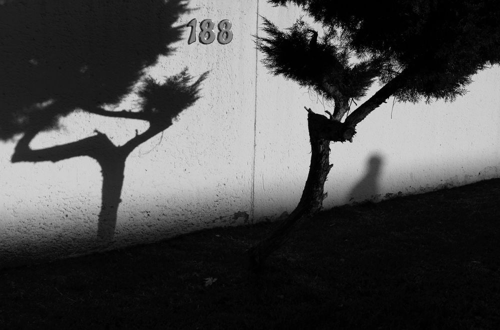 Levan Macharadze - weird shadows | LensCulture