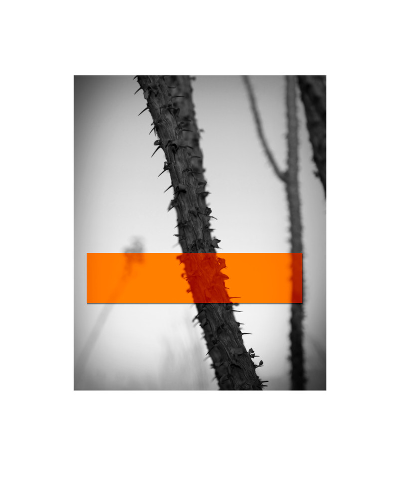 Matt Cauthron - Desert Tints | LensCulture