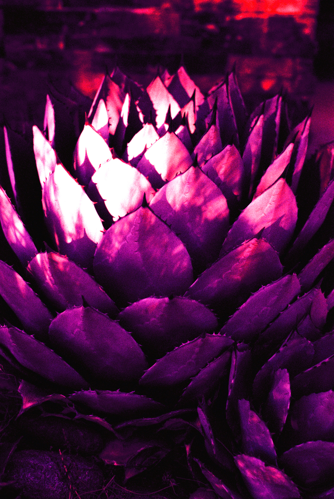 Amanda Heck - Bowl of Worms | LensCulture