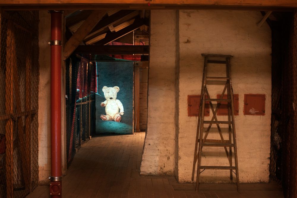Nina Staff - The hippo in the living room. Photo Series Category ...