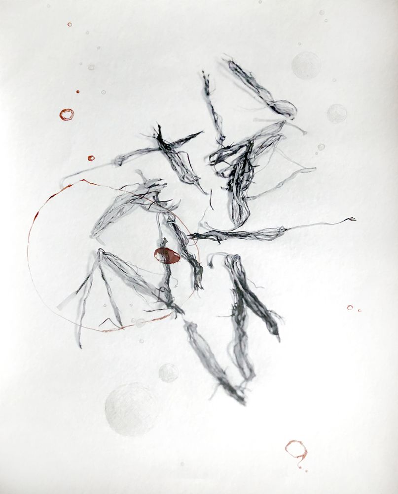 Tara Cronin - Haruspicy and Language | LensCulture