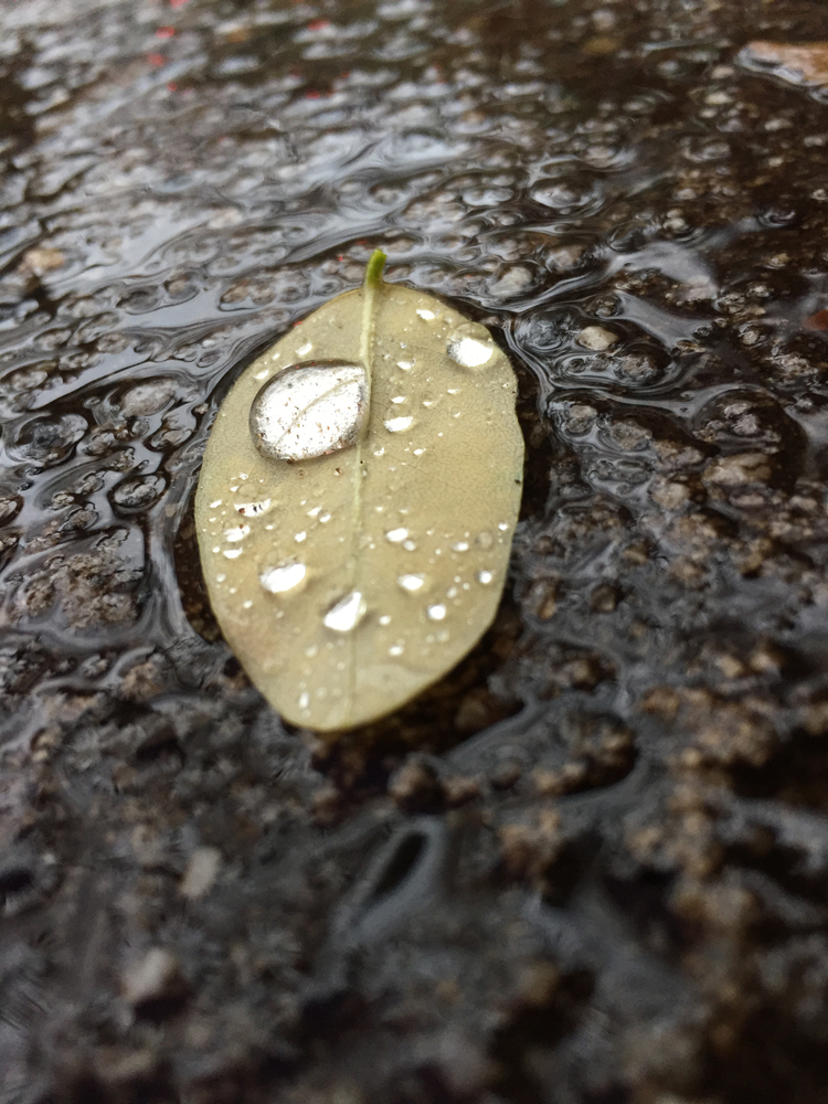 Keith Getter - Journeys | LensCulture