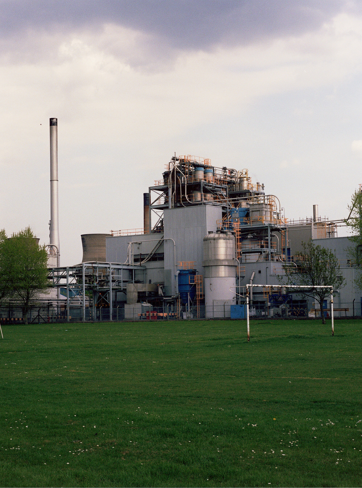 Jill Davison - This is My Garden | LensCulture