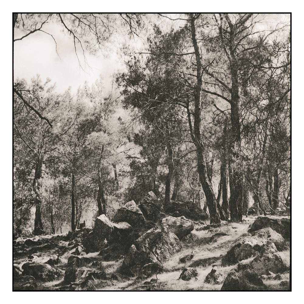 Michael Mavridis - A Breath of Nature | LensCulture