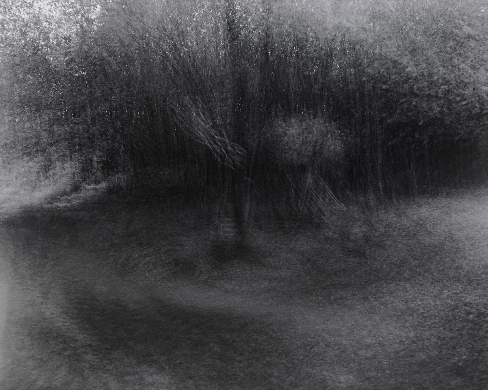 jonty sale | Emerging Talent Awards 2016 Entry