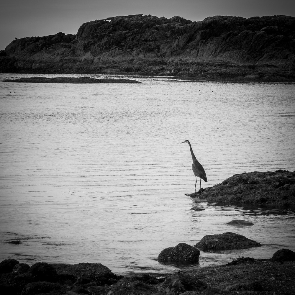 Untitled - LensCulture